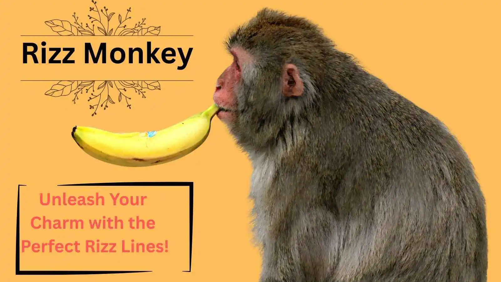 Rizz Monkey: Unleash Your Charm with the Perfect Rizz Lines!